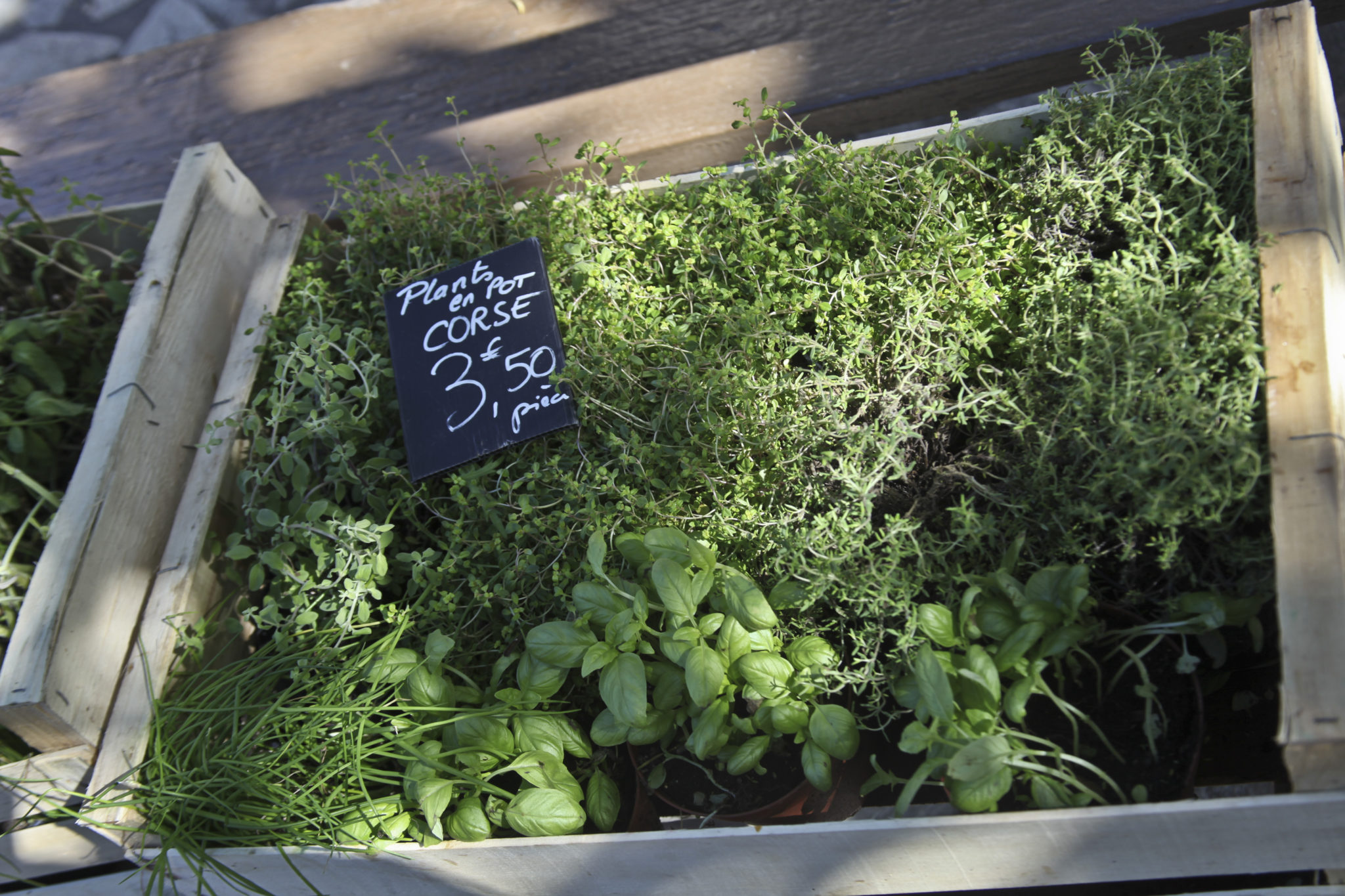 Le cageot de Francis Ponge | Botanique Jardins Paysages