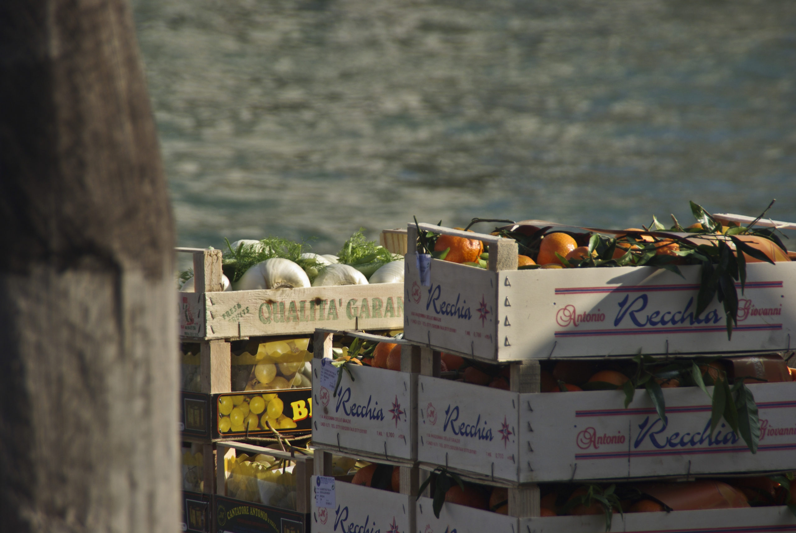 Le cageot de Francis Ponge | Botanique Jardins Paysages