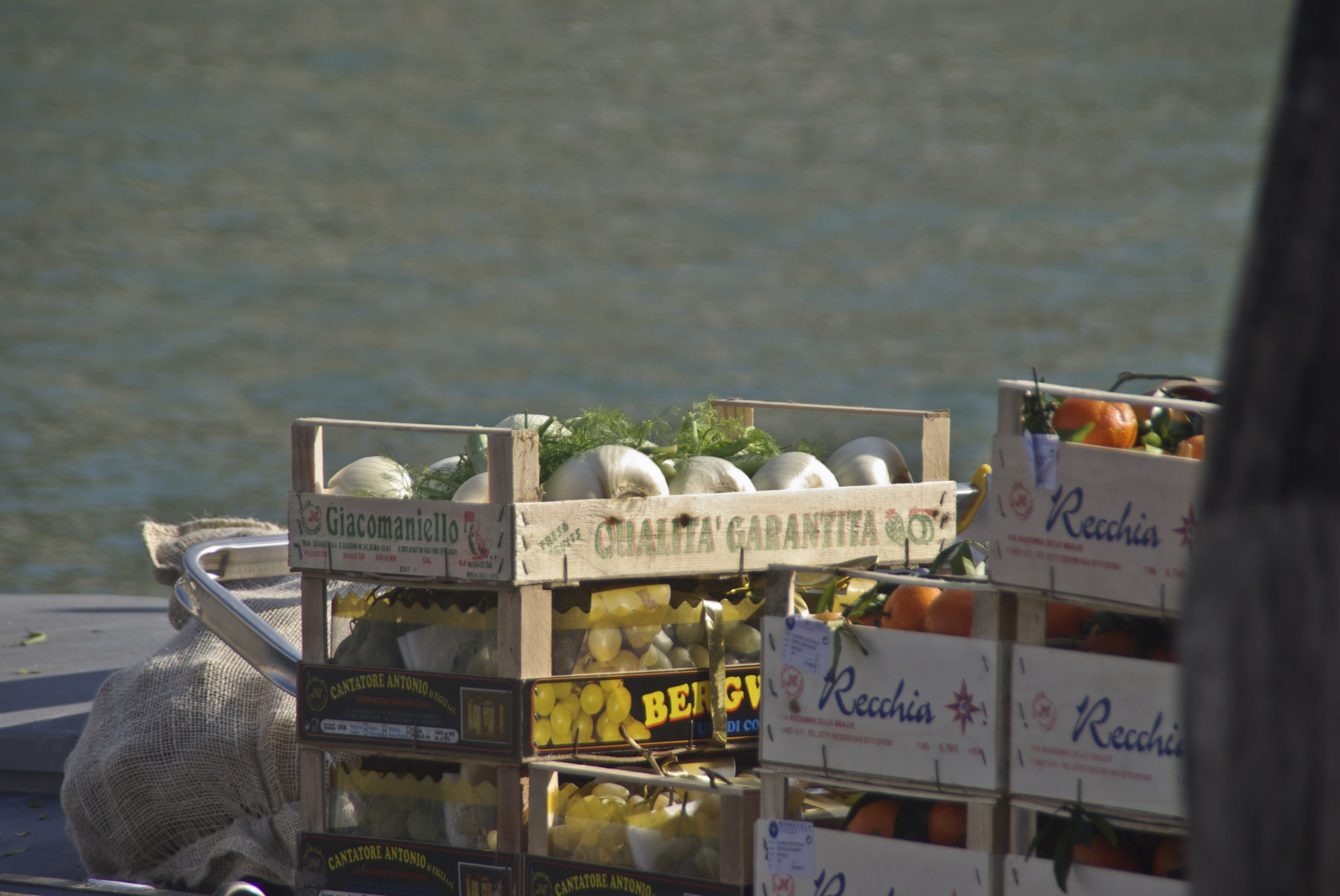 Le cageot de Francis Ponge | Botanique Jardins Paysages
