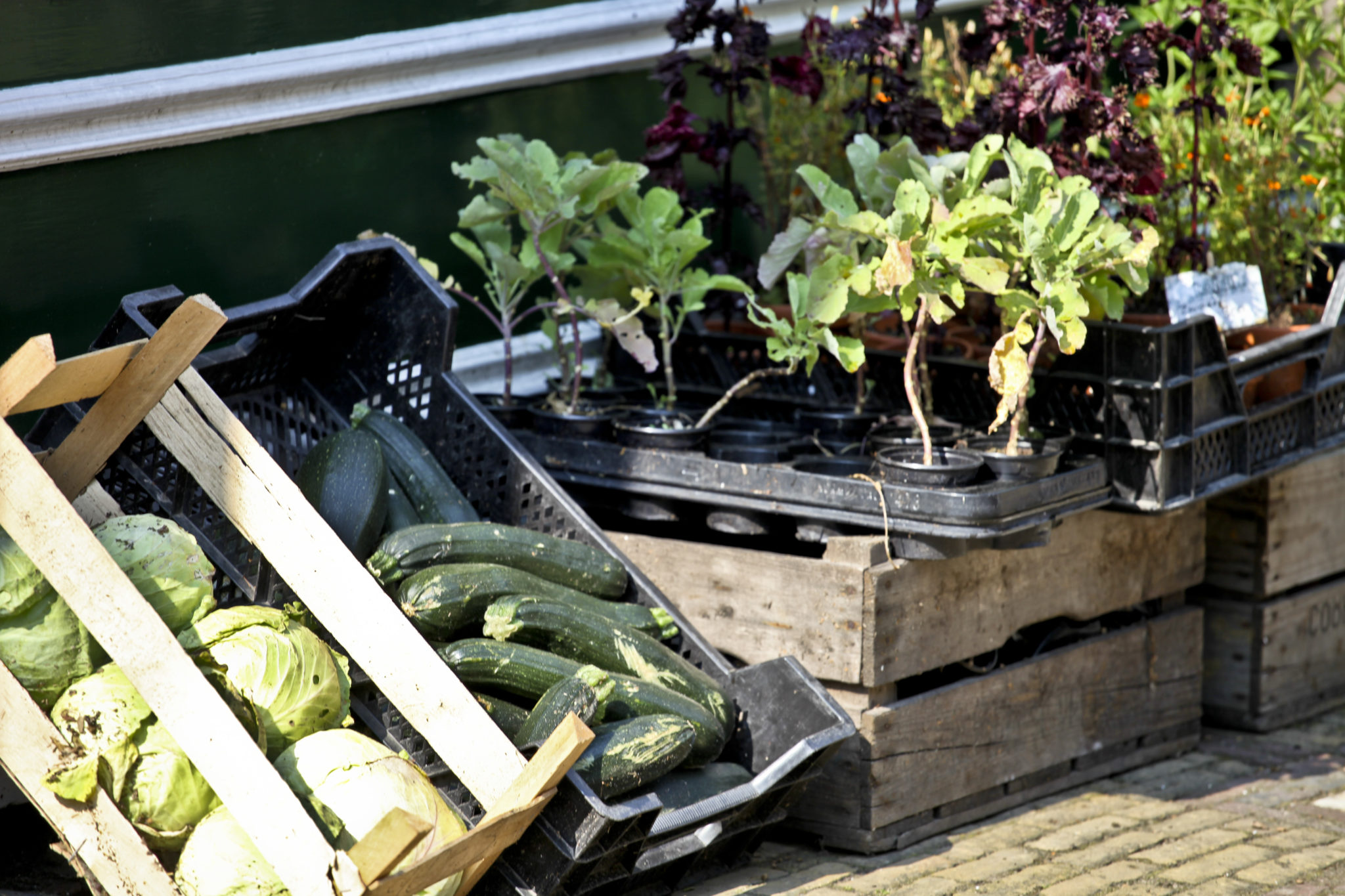 Le cageot de Francis Ponge | Botanique Jardins Paysages