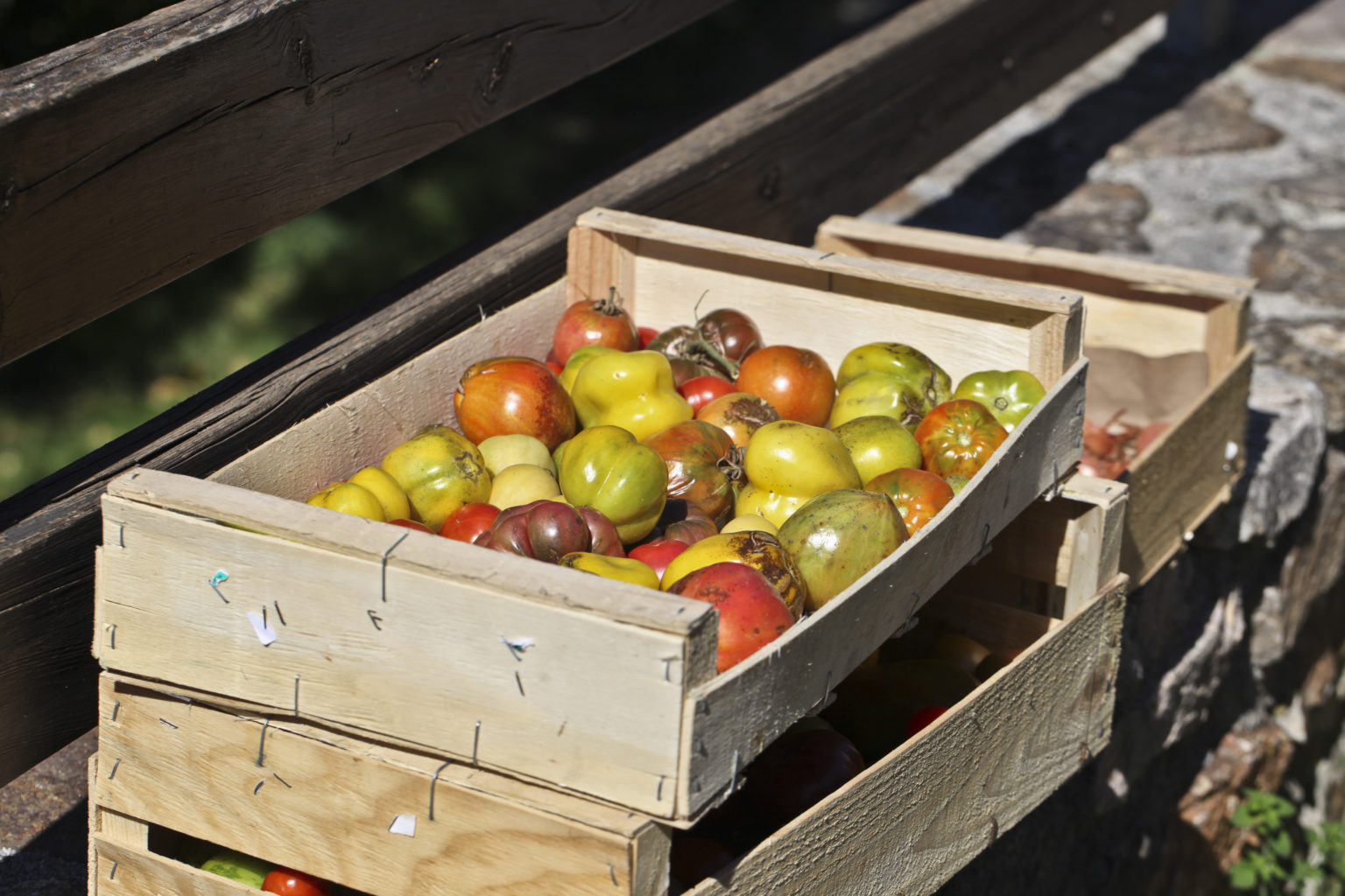 Le cageot de Francis Ponge | Botanique Jardins Paysages