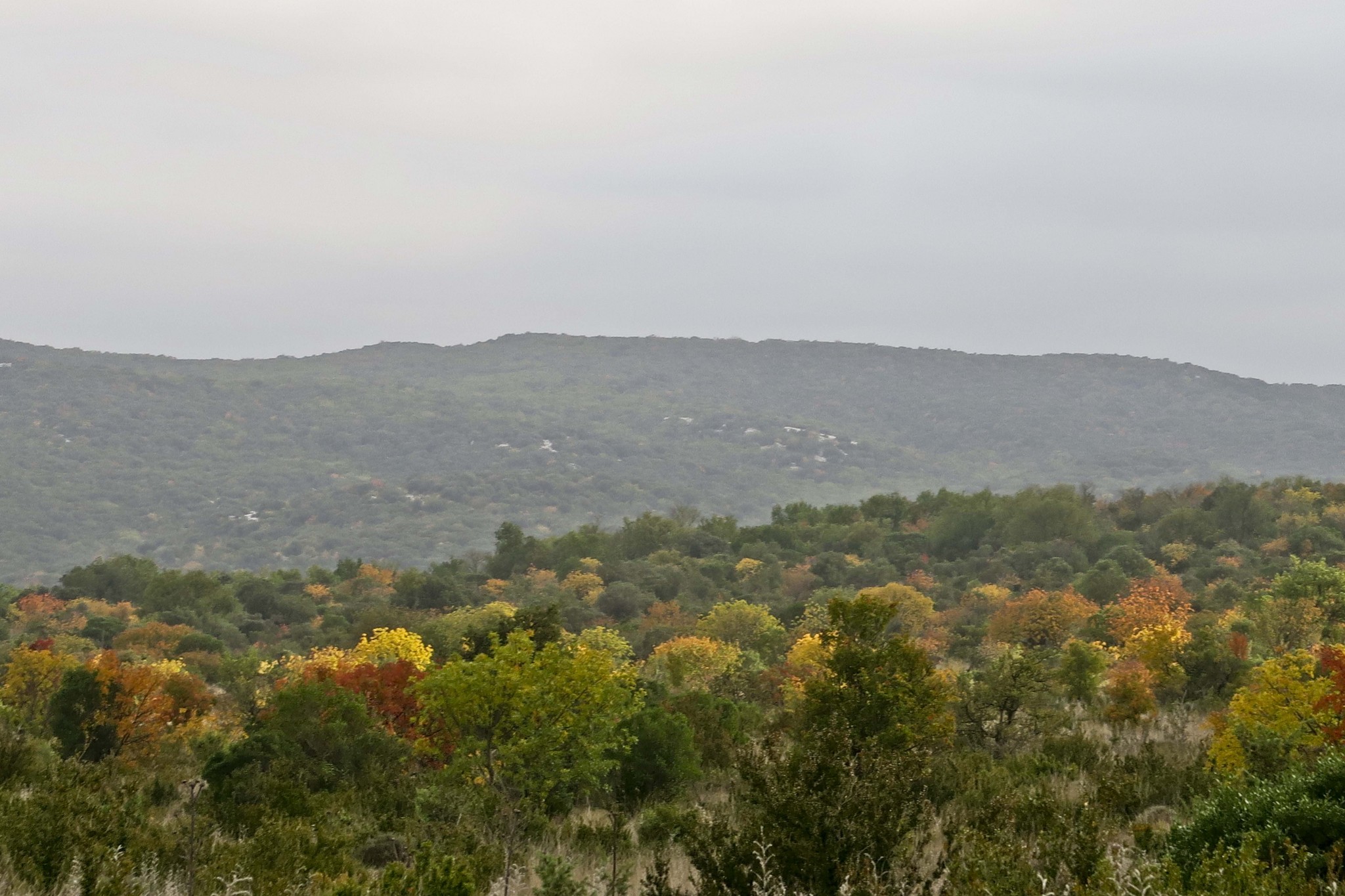 Paysages d’automne en garrigue… | Botanique Jardins Paysages